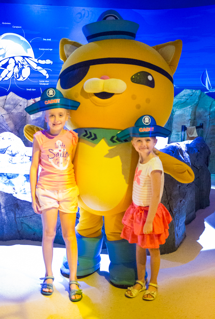 The Octonauts Characters In Real Life All Characters