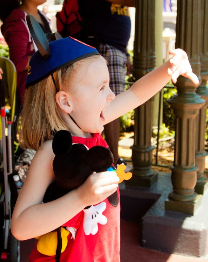 The Disney Photos You Actually Want - Don't Just Fly