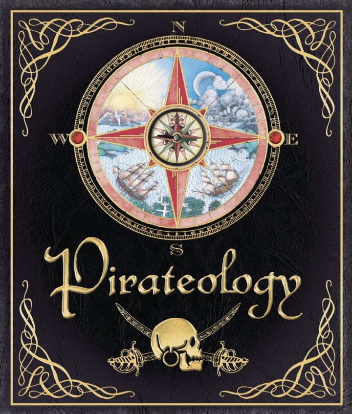 20 Pirate Books the Whole Family Will Love - Don't Just Fly