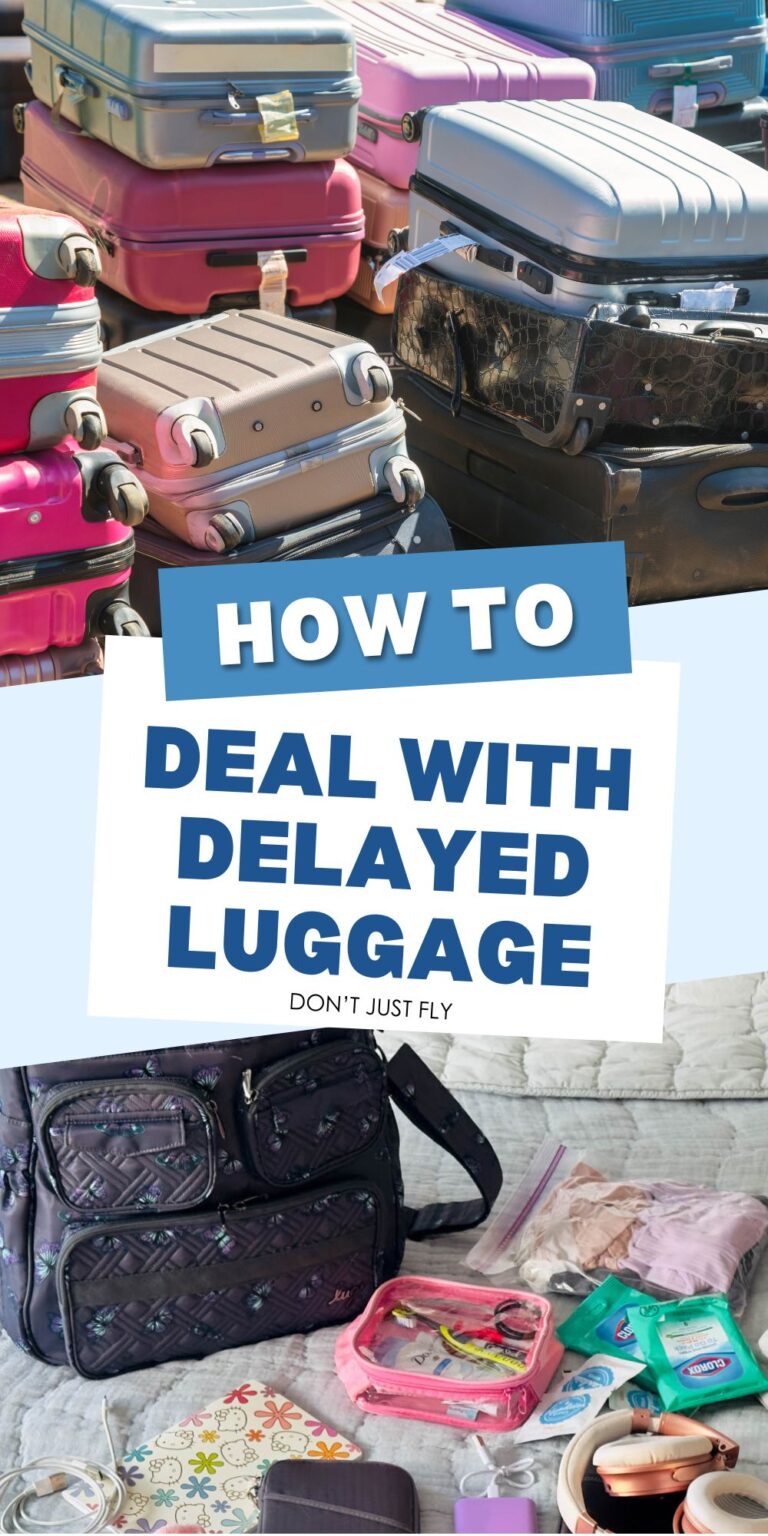 Top Tips for Dealing with Lost or Delayed Luggage - Don't Just Fly