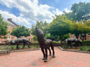 NC State: College Tour Tips and Itinerary - Don't Just Fly