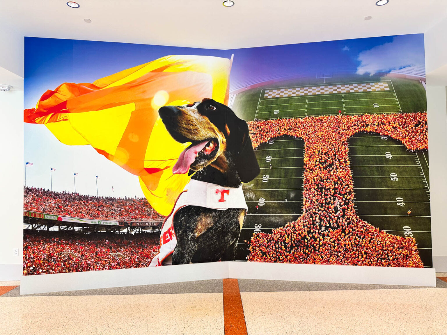 University of Tennessee: College Tour Tips and Itinerary - Don't Just Fly